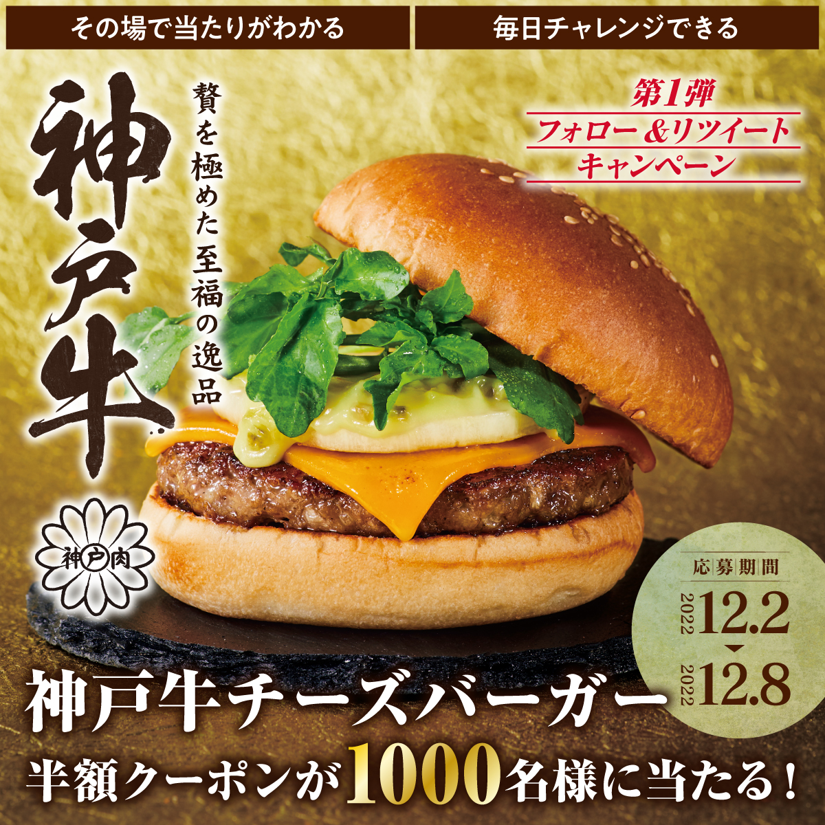 main_SP | FRESHNESS BURGER フレッシュネスバーガー